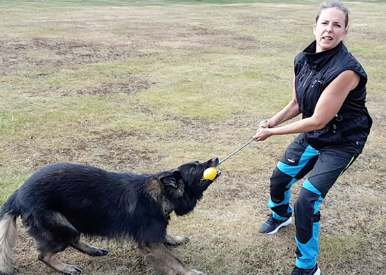 Cecilia Theander — PT-Center | PT25